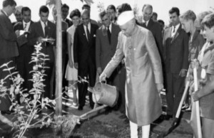 Nehru Planting the Sycamore in belgrade Nona Aligned mOVEMENT 1961 ...